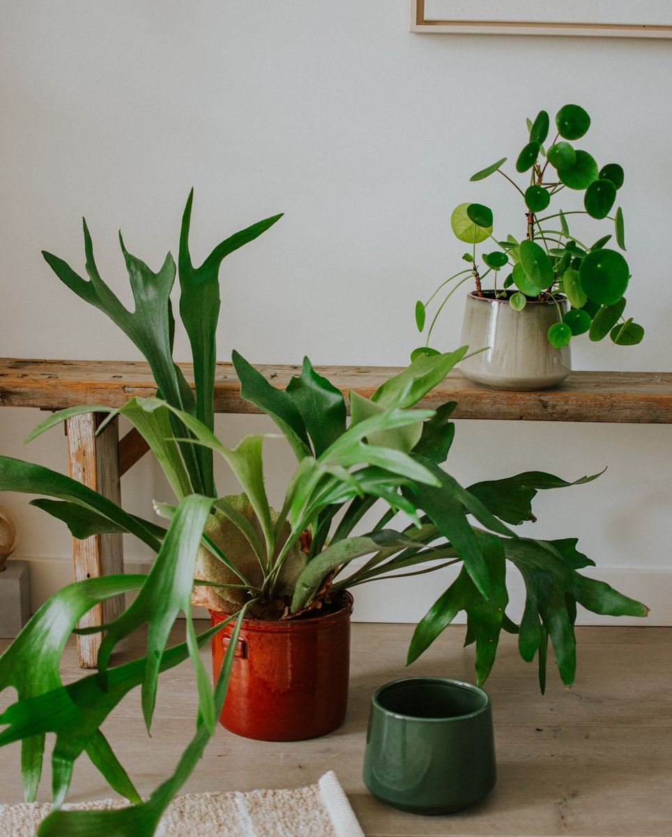 Pot de fleur 'Juul', céramique, vert, Ø 9,5 cm | Pots de fleur chez ...